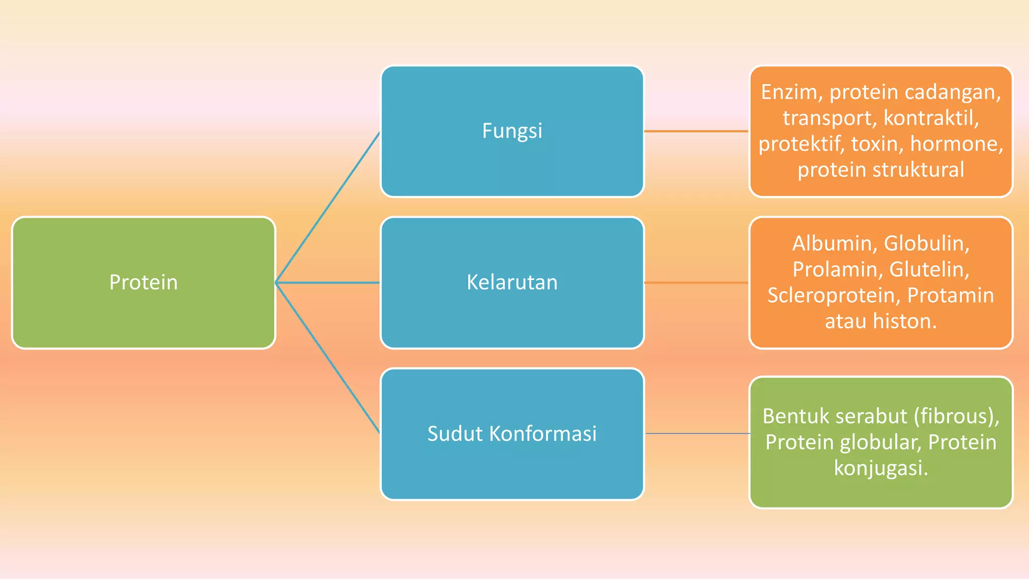 PROTEIN - KELOMPOK 12 | PPTX