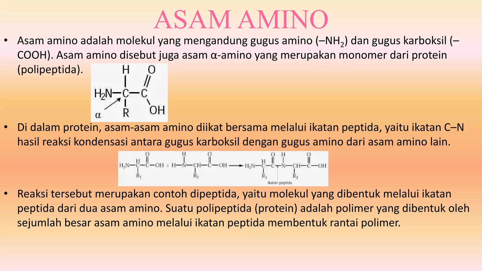 PROTEIN - KELOMPOK 12 | PPTX