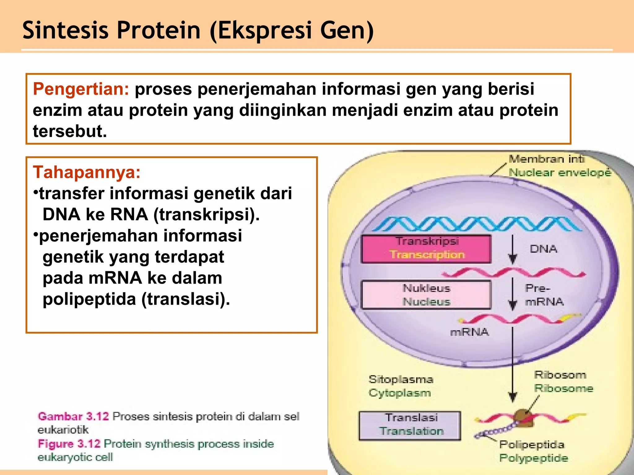 SUBSTANSI GENETIKA | PPT