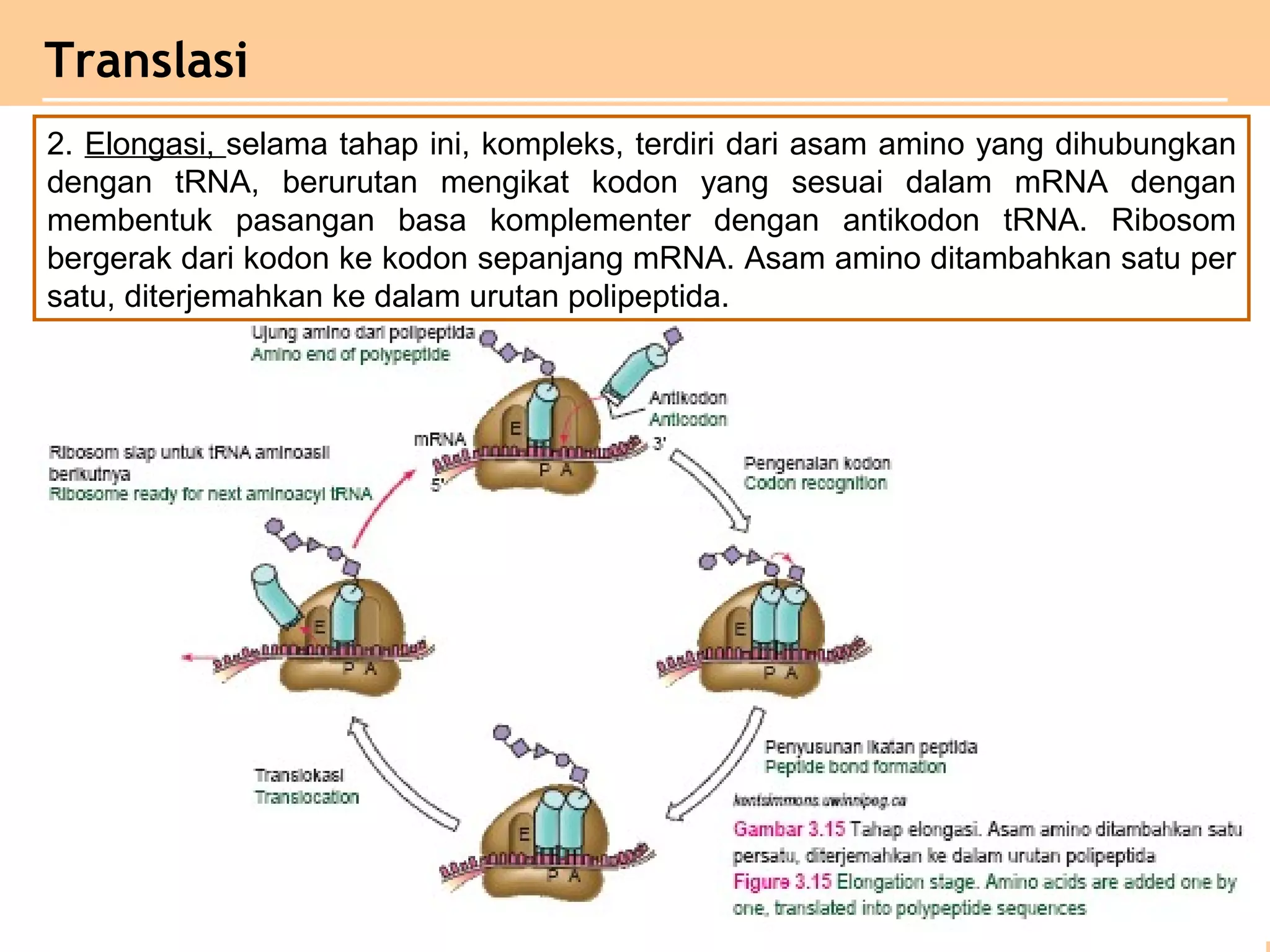 SUBSTANSI GENETIKA | PPT