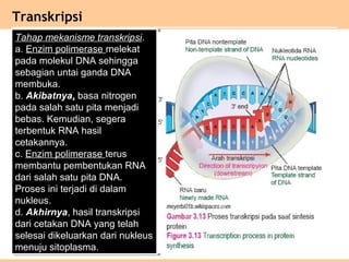 SUBSTANSI GENETIKA | PPT