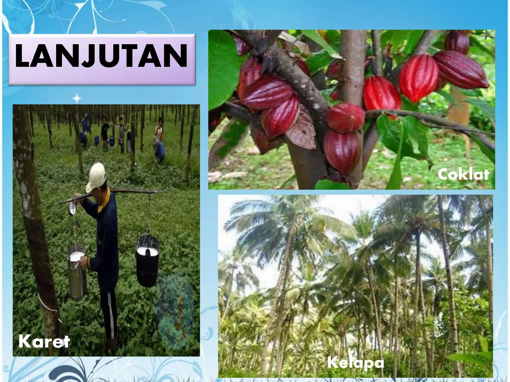 HASIL BUMI | PPTX