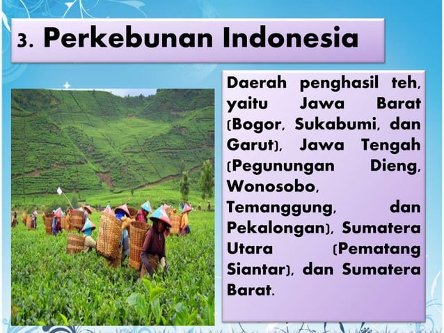 HASIL BUMI | PPTX