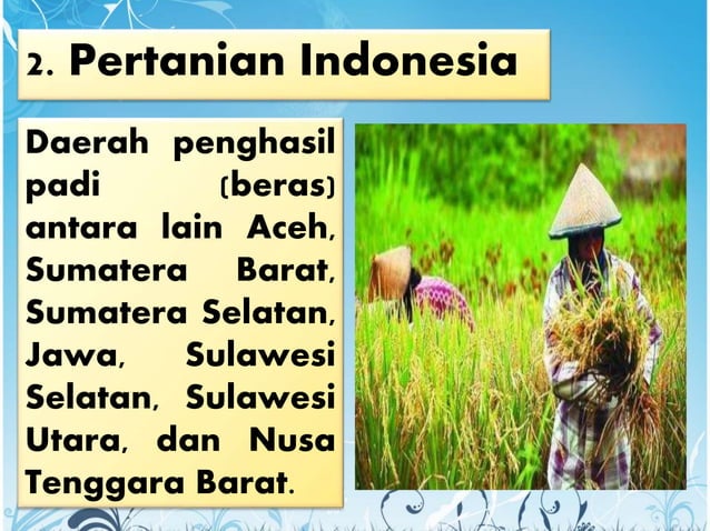 HASIL BUMI | PPTX