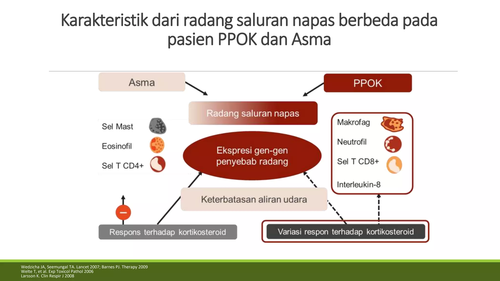 [FIX NEW] PPOK STABIL dan EKSASERBASI.pptx