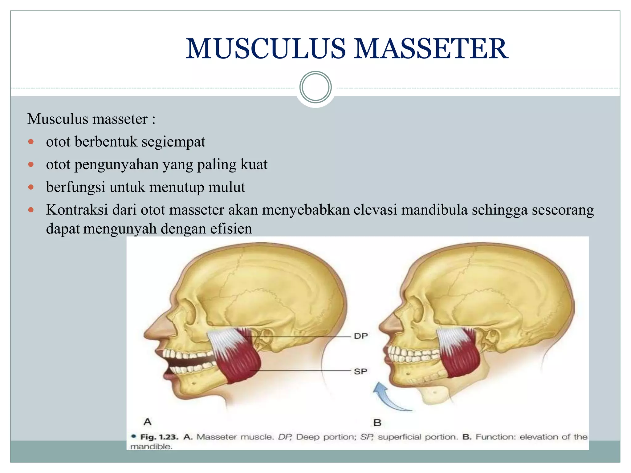 fix ppt GNATO OTOT PENGUNYAHAN presentasi (1).ppt