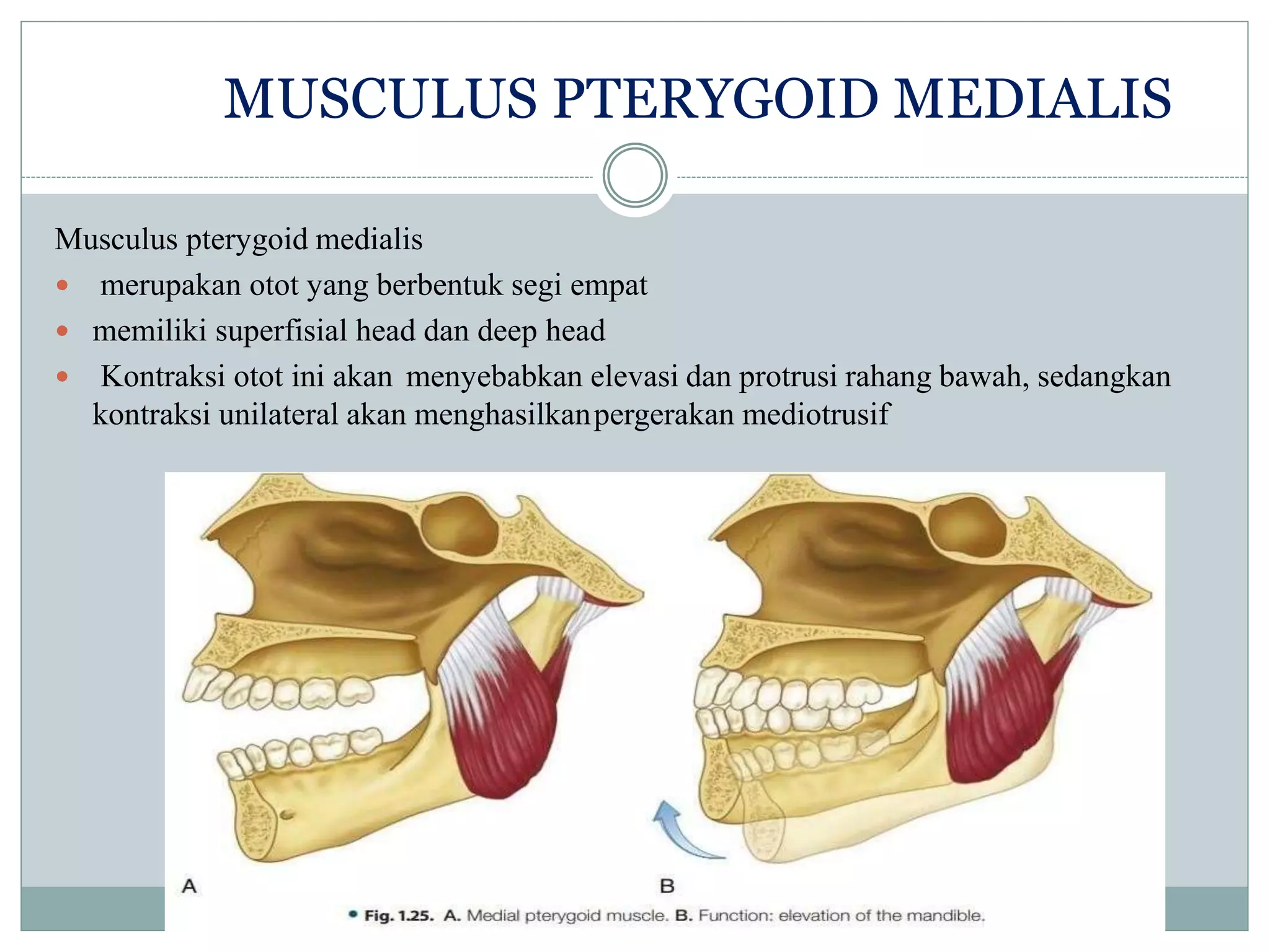 fix ppt GNATO OTOT PENGUNYAHAN presentasi (1).ppt