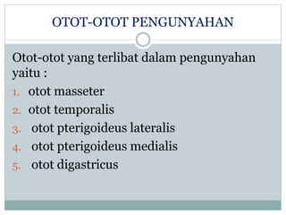 fix ppt GNATO OTOT PENGUNYAHAN presentasi (1).ppt