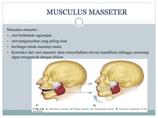 fix ppt GNATO OTOT PENGUNYAHAN presentasi (1).ppt