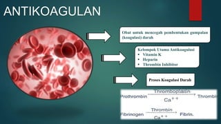 Antikoagulan dan antihipertensiObat untuk mencegah pembentukan gumpalan ...