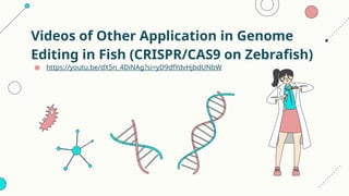 PPT of Other Application of Genome Editing in Fish | PPTX