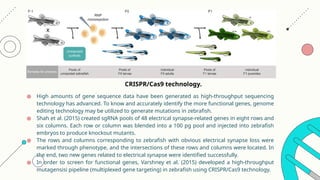 PPT of Other Application of Genome Editing in Fish | PPTX