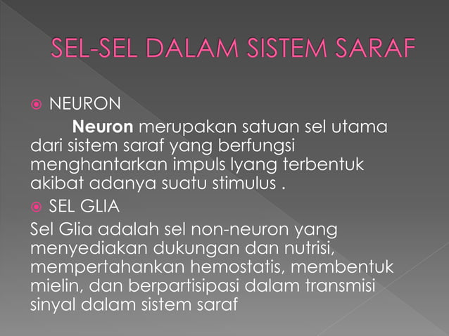 SEL DALAM SISTEM SARAF DAN HUBUNGAN ANTAR NEURON | PPT