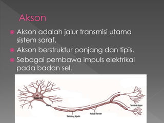 SEL DALAM SISTEM SARAF DAN HUBUNGAN ANTAR NEURON | PPT