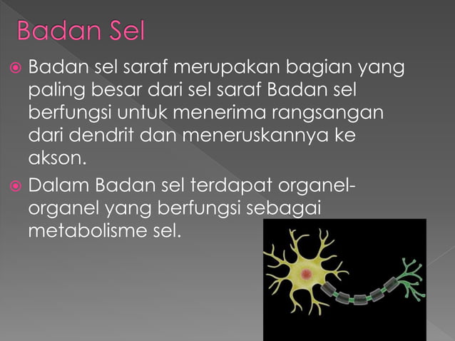 SEL DALAM SISTEM SARAF DAN HUBUNGAN ANTAR NEURON | PPT