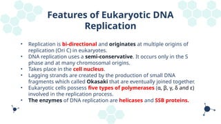 Overview of DNA and Replication of Eukaryotic DNA | PPT