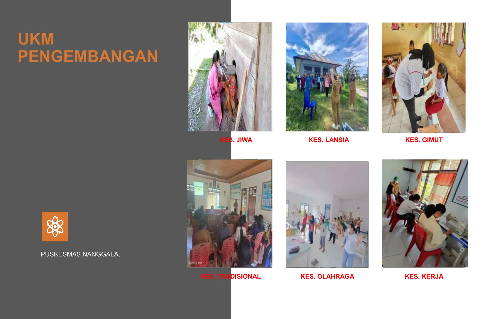 FIX SELAYANG PANDANG PKM NANGGALA 2024 FIX.pptx