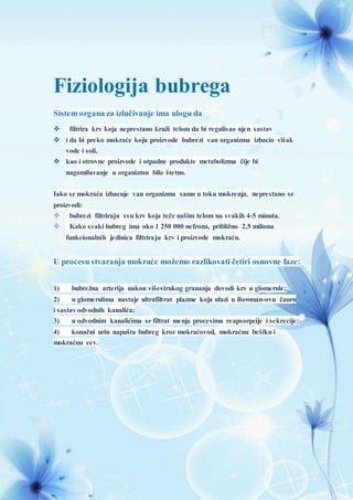 Fiziologija bubrega | DOC