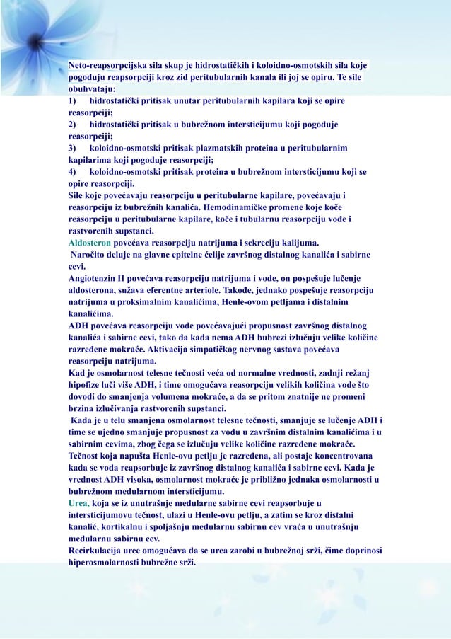 Fiziologija bubrega | DOC