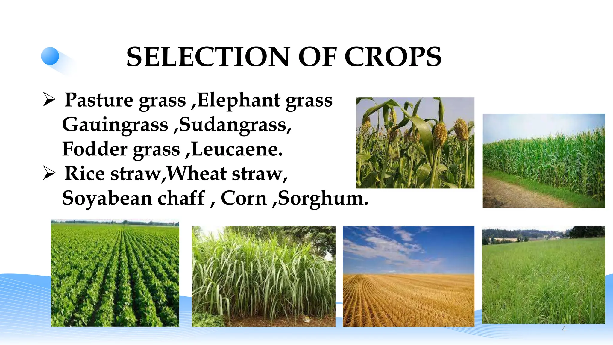 PRESENTATION ON PRODUCTION AND SIGNIFICANCE OF SILAGE | PPTX