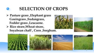 PRESENTATION ON PRODUCTION AND SIGNIFICANCE OF SILAGE | PPTX