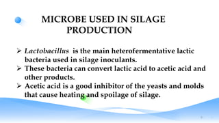 PRESENTATION ON PRODUCTION AND SIGNIFICANCE OF SILAGE | PPTX