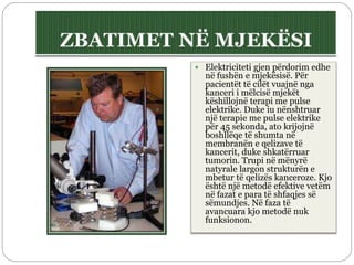 zbatimet e elektricitetit | PPTX