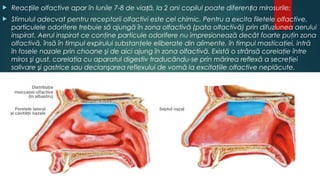 Fiziologia nasului. Mecanisme fiziologice | PPTX