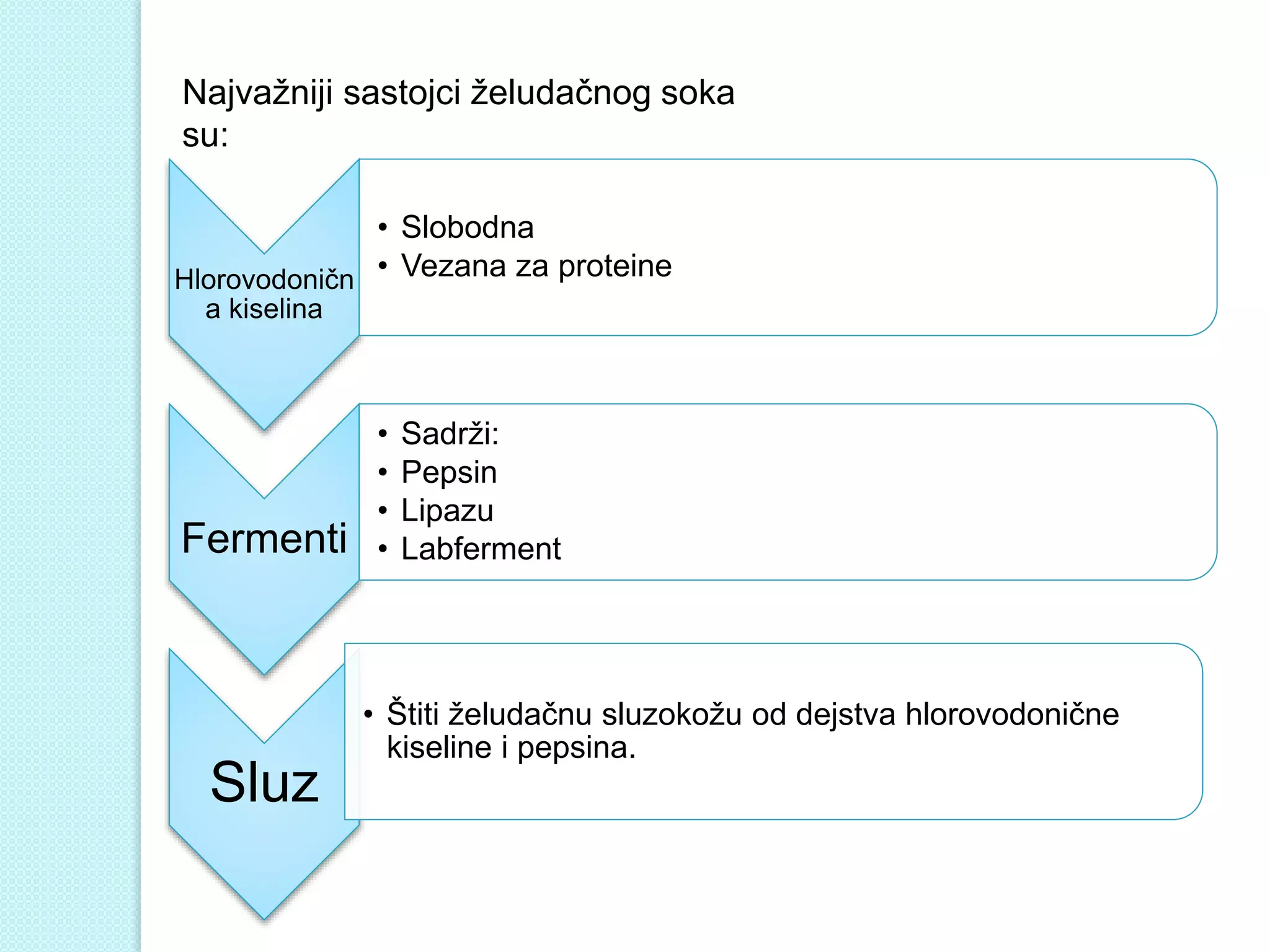 Fiziologija varenja | PPTX