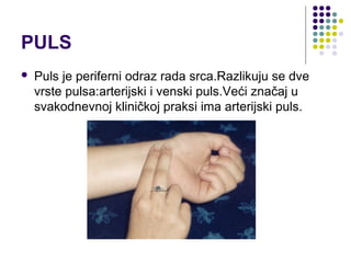 Fiziologija kardiovaskularnog sistema | PPT