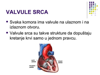 Fiziologija kardiovaskularnog sistema | PPT