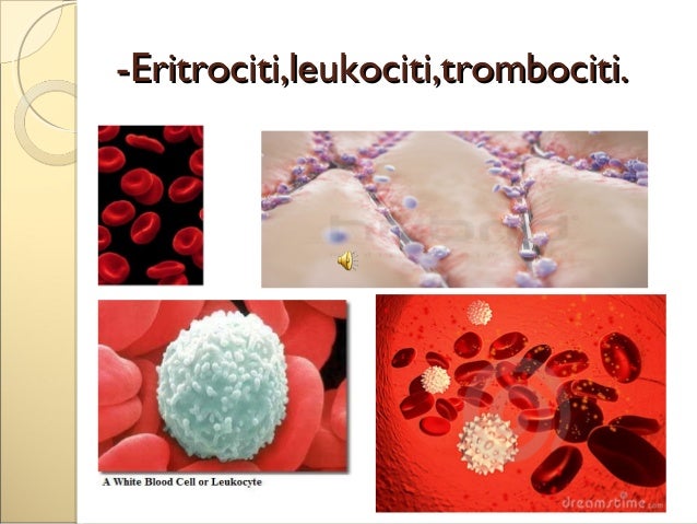 Fiziologija krvi Aleksandra Lazic