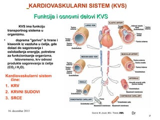 Fiziologija kardiovaskularnog sistema | ODP