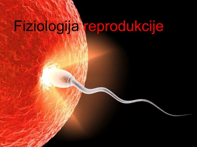 Fiziologija reprodukcije | PPTX