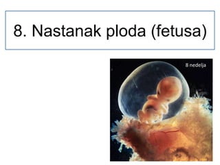 Fiziologija reprodukcije | PPTX