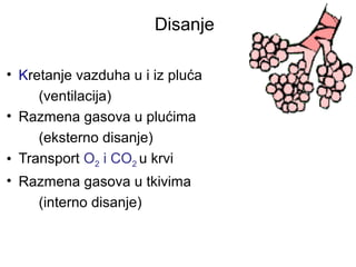 Fiziologija respiratornog trakta | PPT