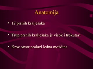 Fizioterapija nakon prijeloma_torakalnog_kralješka | PPT