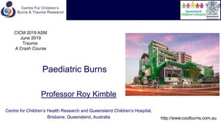 Paediatric burns by Professor Roy Kimble | PPT