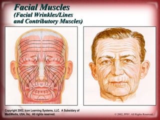 Facial Aging Process and Anatomy | PPT