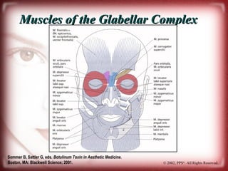 Facial Aging Process and Anatomy | PPT
