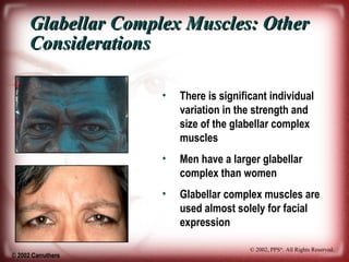 Facial Aging Process and Anatomy | PPT
