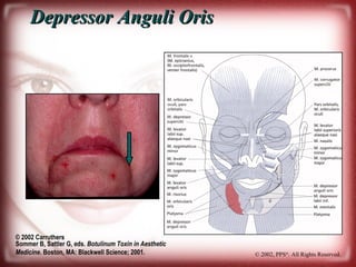 Facial Aging Process and Anatomy | PPT