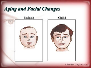 Facial Aging Process and Anatomy | PPT