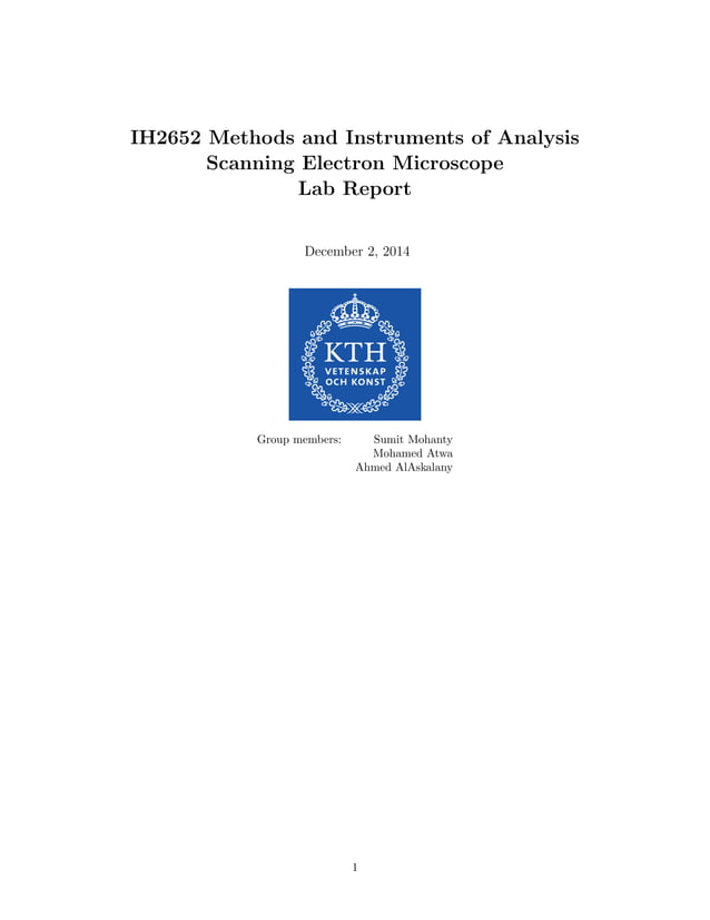 Scanning Electron Microscope Lab Report | PDF