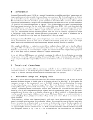 Scanning Electron Microscope Lab Report | PDF