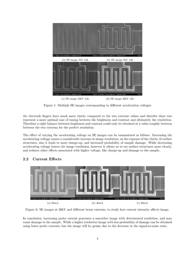 Scanning Electron Microscope Lab Report | PDF