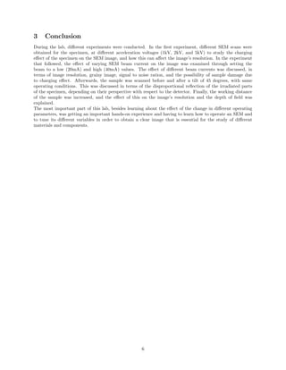 Scanning Electron Microscope Lab Report | PDF