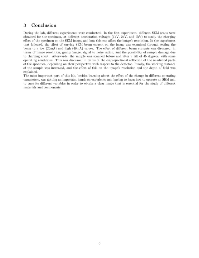 Scanning Electron Microscope Lab Report | PDF