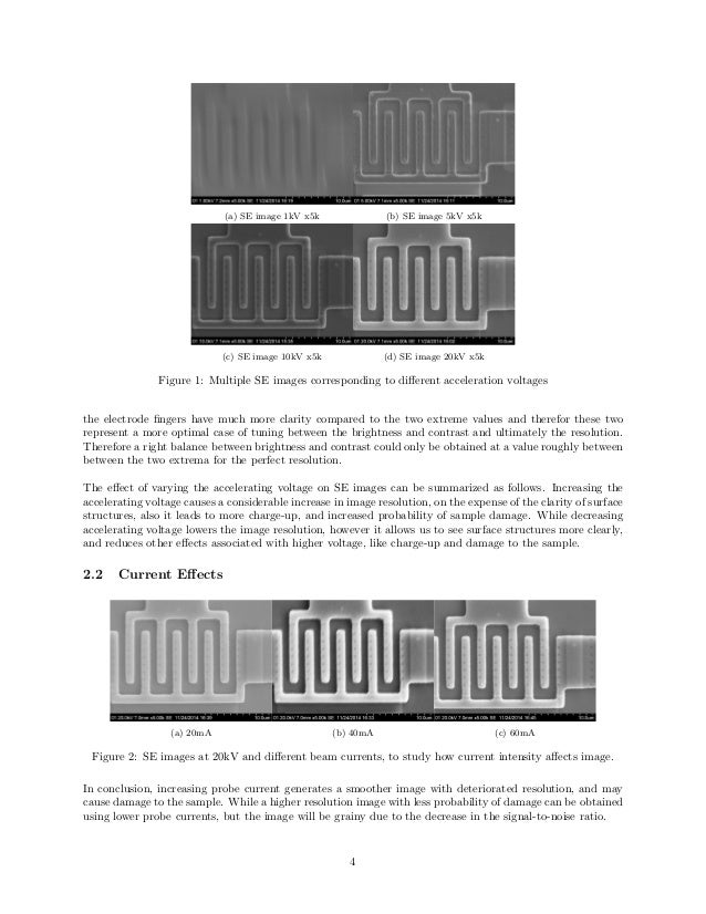 Scanning Electron Microscope Lab Report