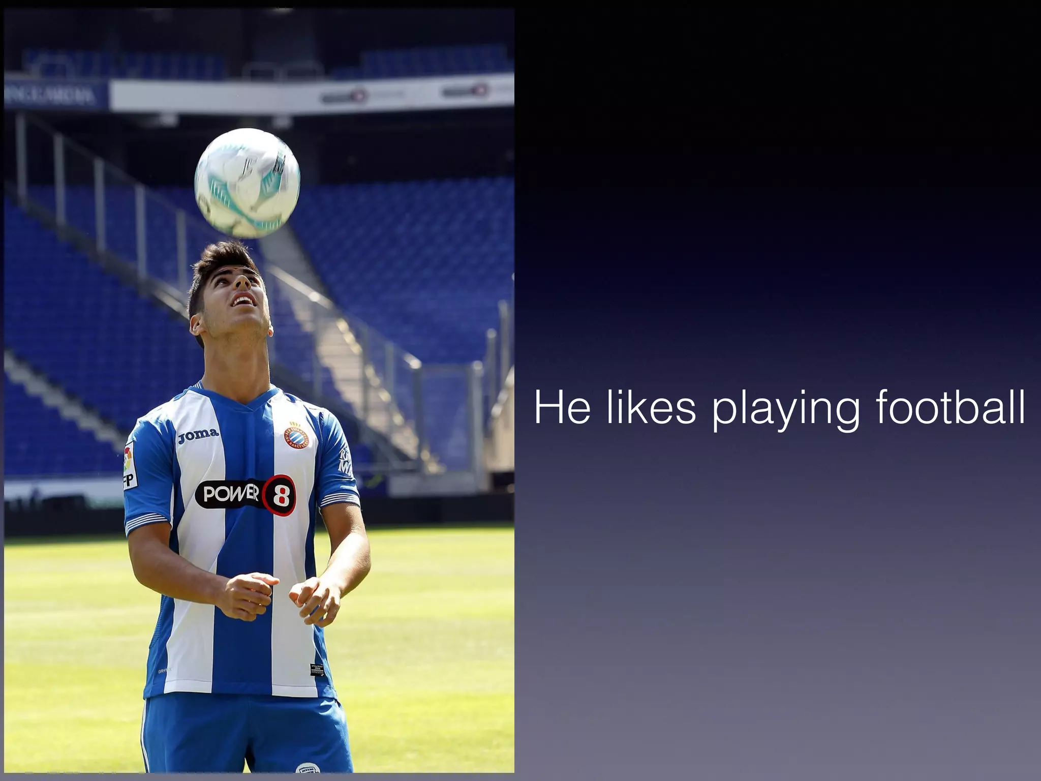 Preference verbs | PPT